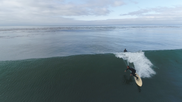 BRAINWORK: ADAM REPLOGLE | NobodySurf