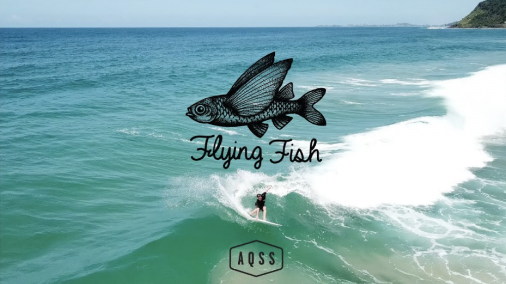 AQSS Flying Fish 2024 | NobodySurf