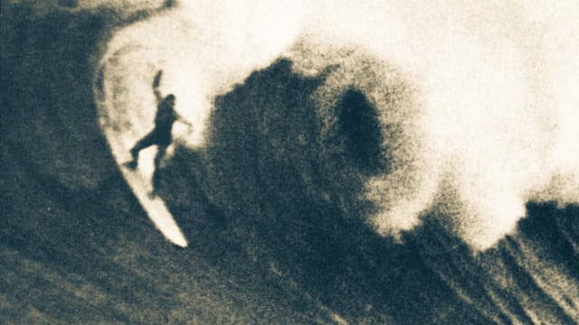 PETER COLE | NobodySurf