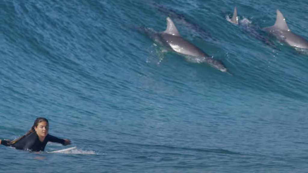 This Is Me By Juniper Harper | NobodySurf