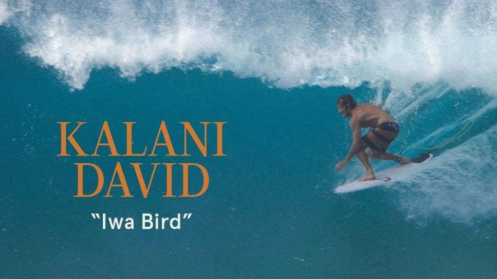 Iwa Bird | NobodySurf