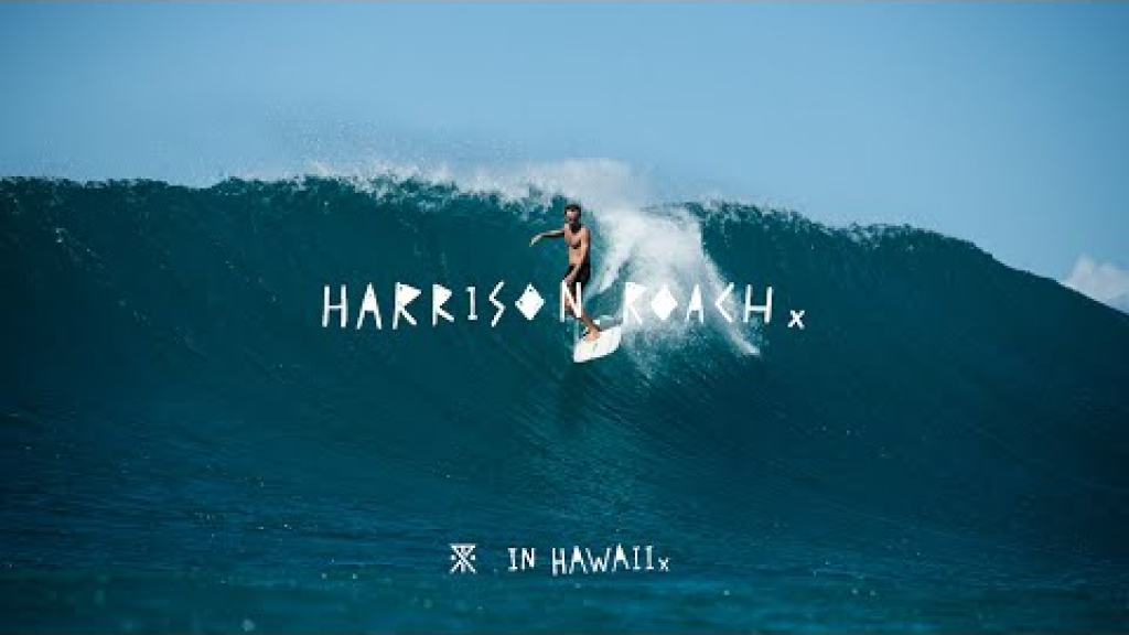 Roark in Hawaii x Harrison Roach | NobodySurf