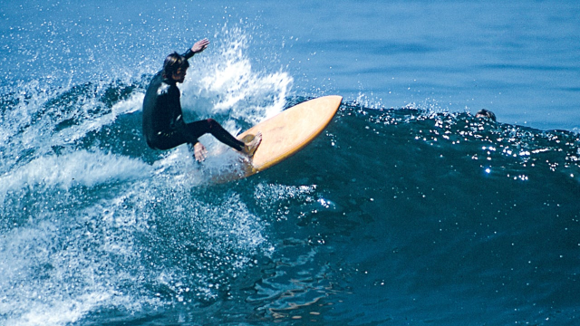 BRAD MCCAUL | NobodySurf