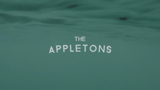 THE APPLETONS | NobodySurf