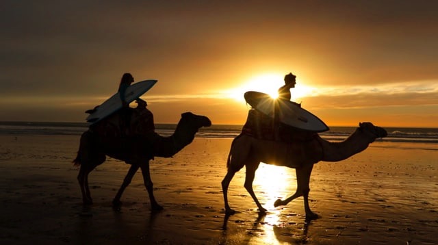 "CAMEL POINT" | NobodySurf