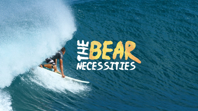 The Bear Necessities | NobodySurf