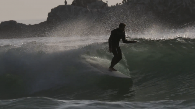 CJND X WAYNE RICH | NobodySurf