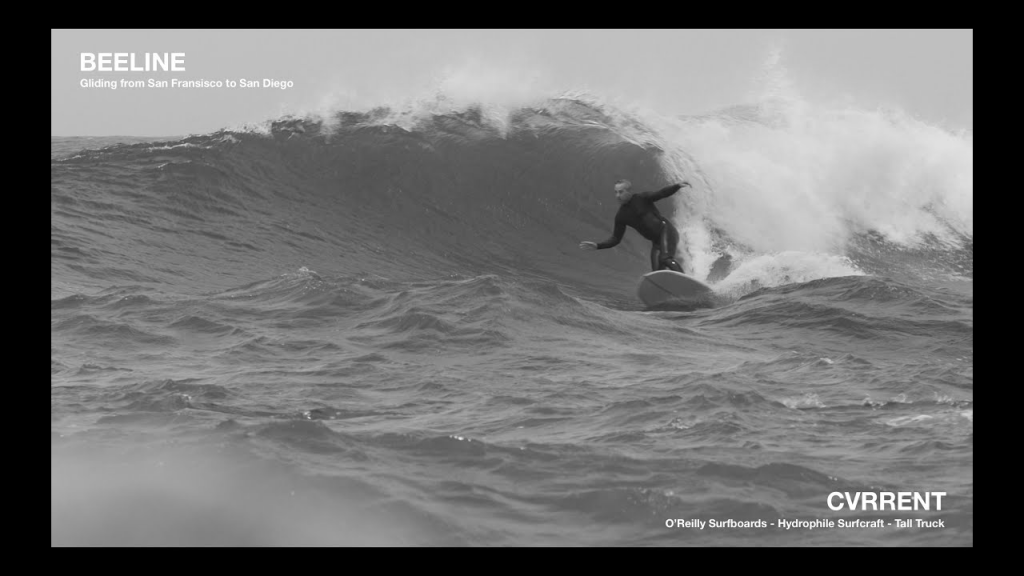 BEELINE | NobodySurf