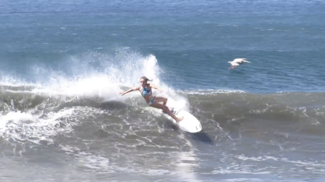 Sam Sibley | NobodySurf