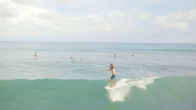 Costa Rica Cut | NobodySurf