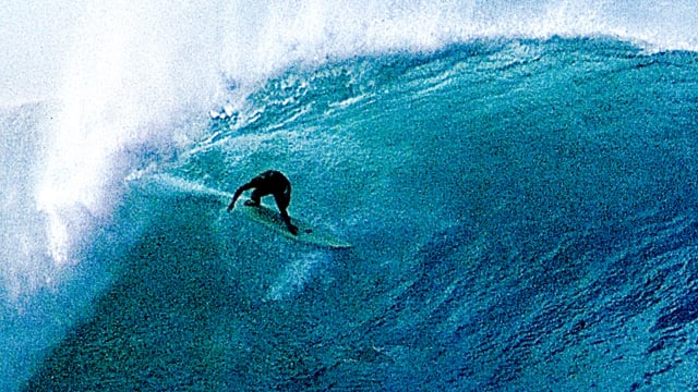 SAM HAWK: In Flight | NobodySurf