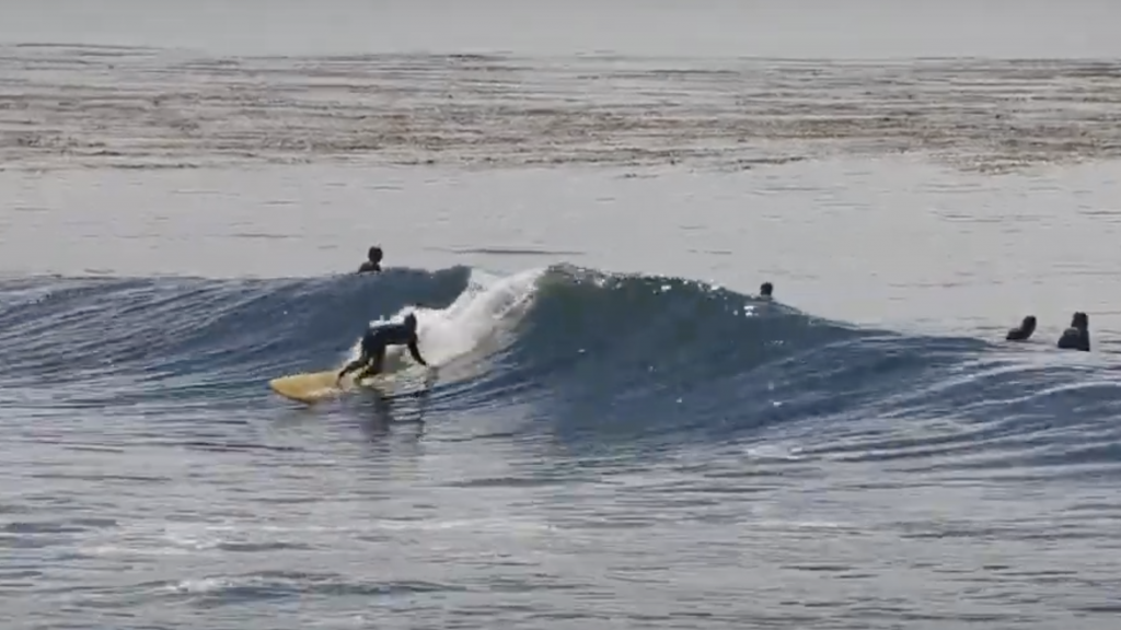 The IBIS Model X CJ Nelson Designs | NobodySurf